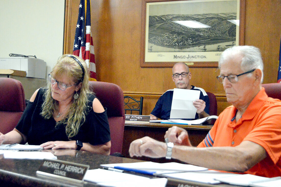 Mingo Council addresses improvements, complaints | News, Sports, Jobs ...